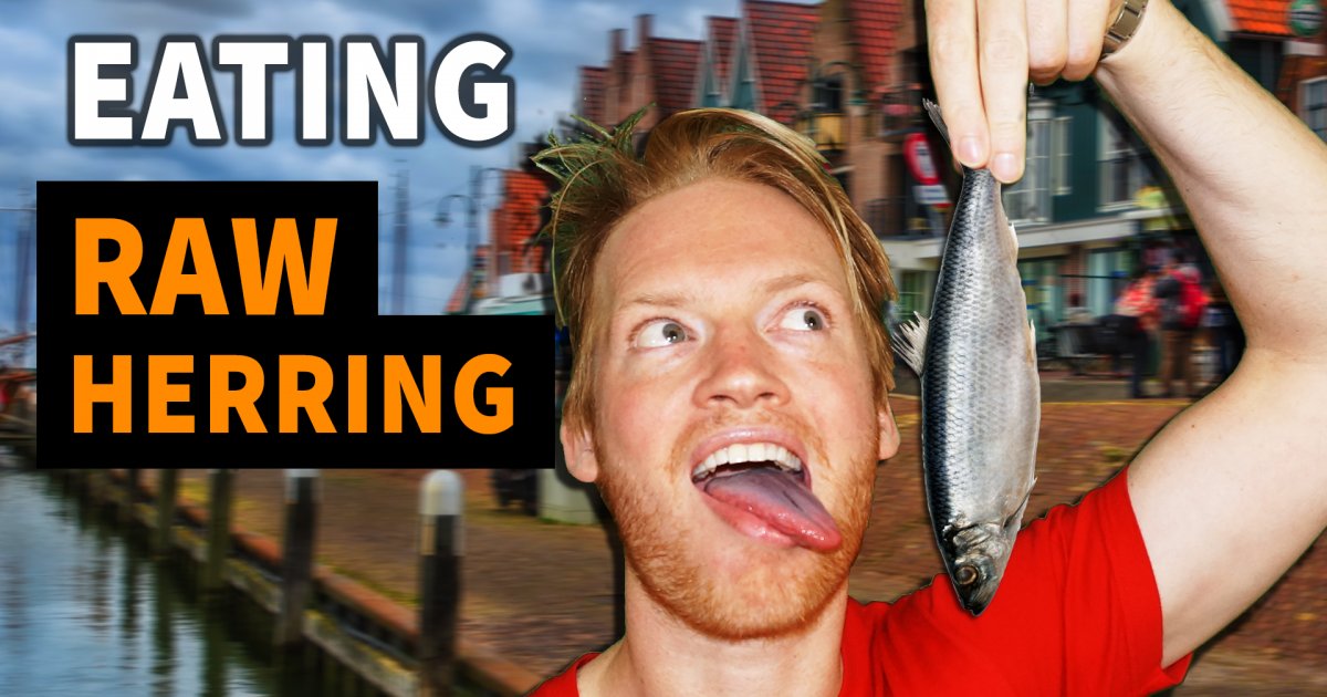Eating Raw Herring in Holland