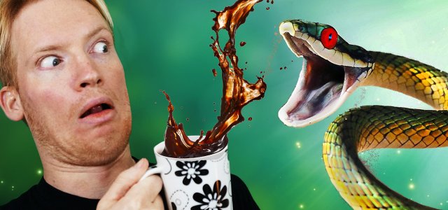 Best Snake Cafe in Tokyo • Reformatt Travel Show